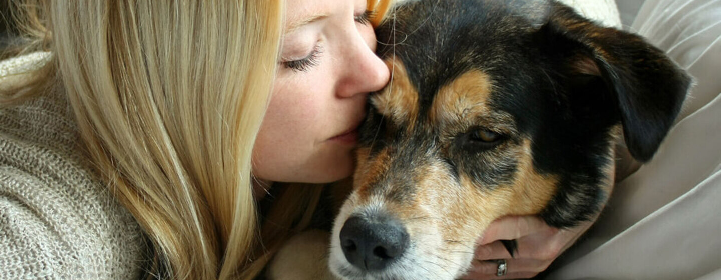 Les vers chez le chien : repérer et vermifuger | Purina