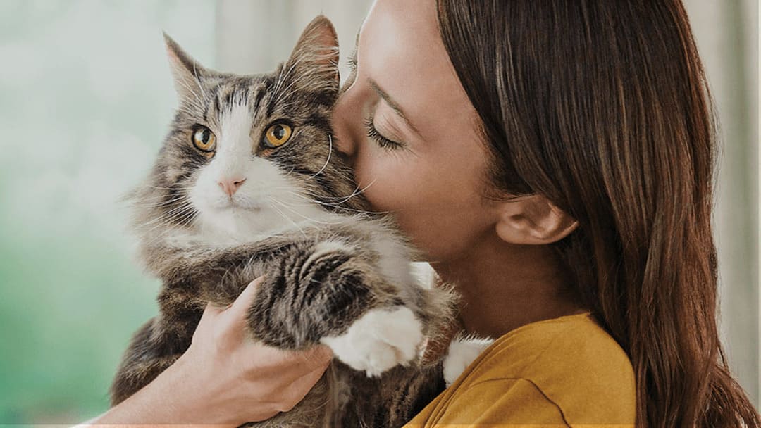 Pro Plan | Allergie au chat : conseils pour mieux la gérer