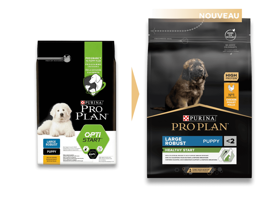 Croquettes Grand Chiot - Large Robust Puppy | Pro Plan