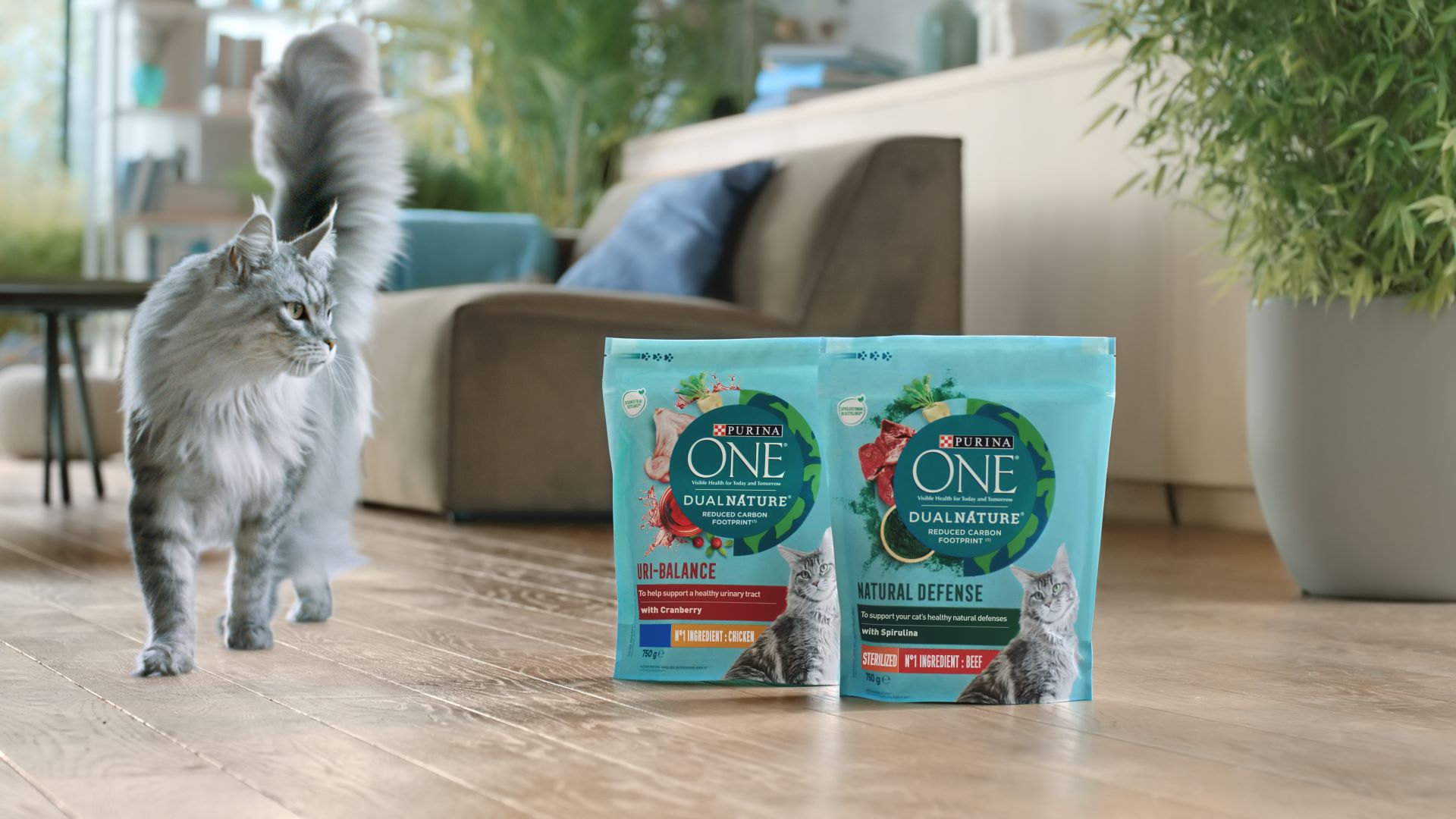 Purina lance sa première gamme d’aliments réduite en carbone | Purina FR