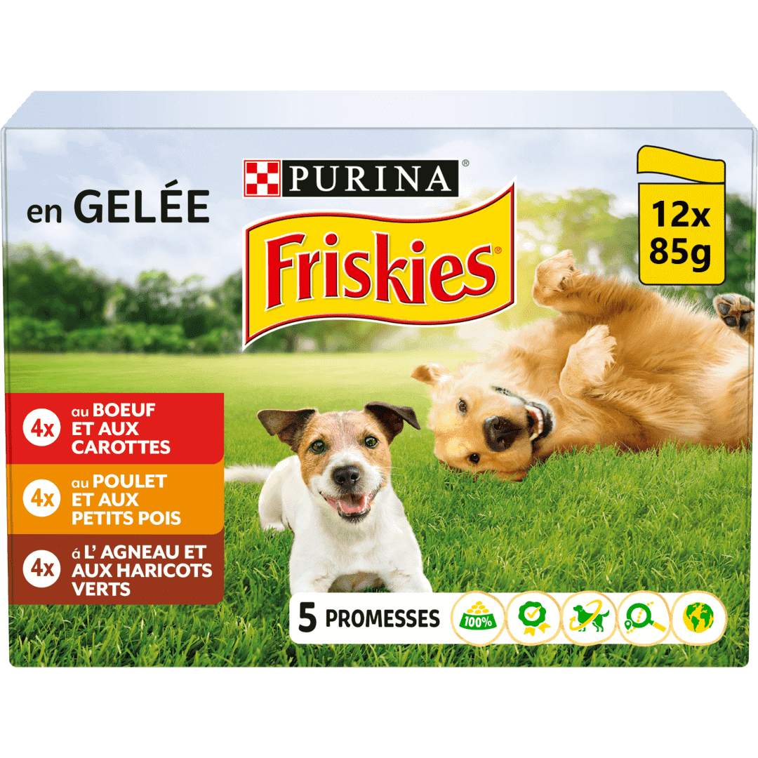 Sachets fraîcheur en Gelée pour chien adulte | FRISKIES®