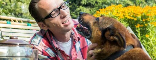 Œdème chien : causes, symptômes et traitements | Purina FR