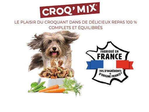 Purina FIDO® - Découvrez la gamme de Croquettes pour chien