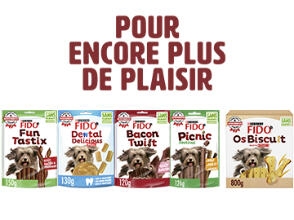 Purina FIDO® - Découvrez la gamme de Croquettes pour chien