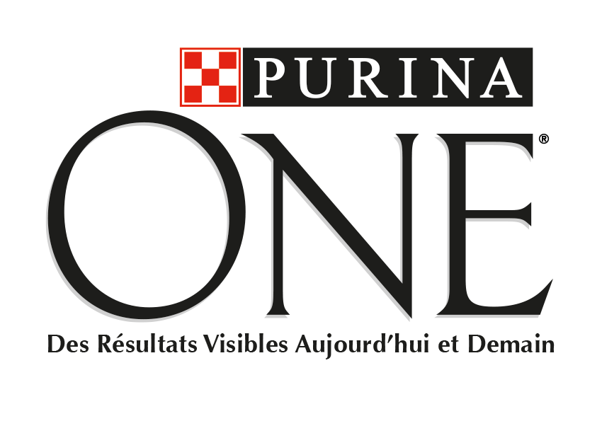 L'expertise de la haute nutrition pour chats | PURINA ONE®