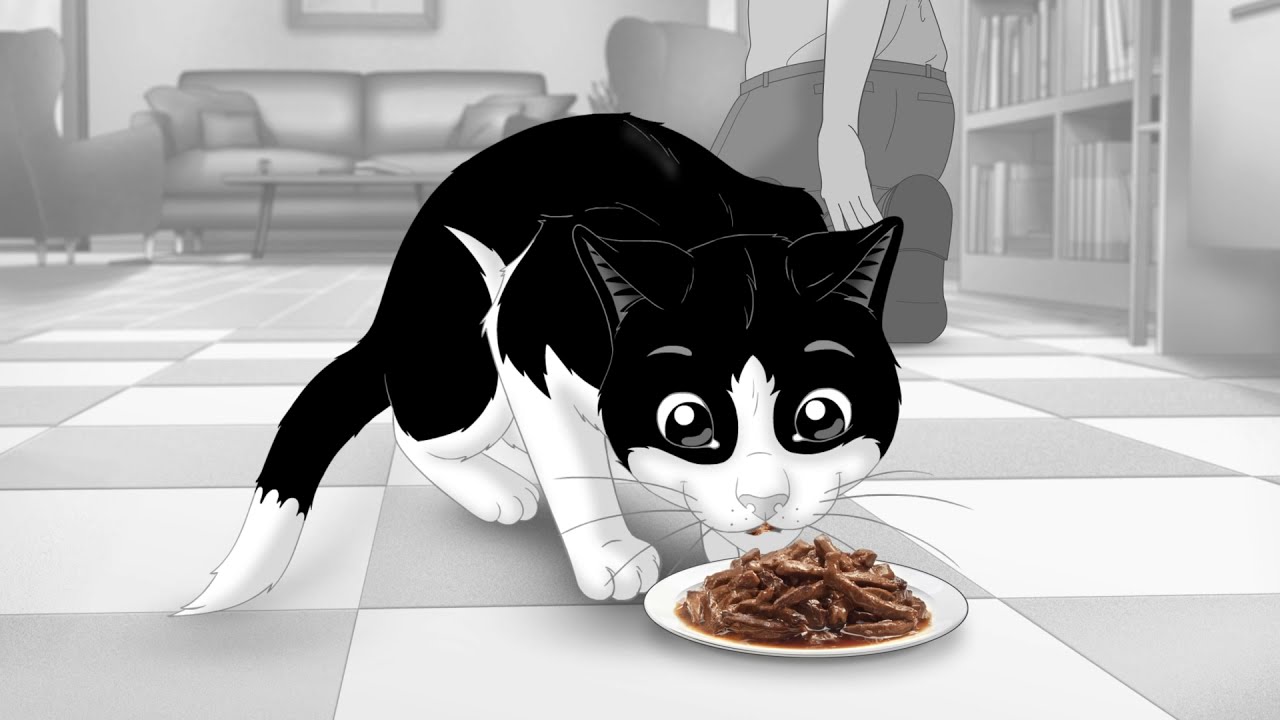 FELIX® Alimentation humide et friandises pour chats fûtés