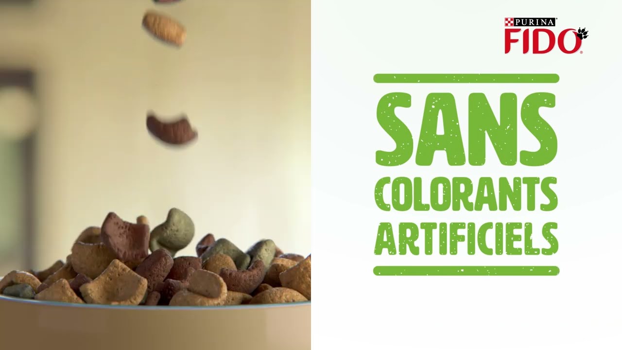 Purina FIDO® - Découvrez la gamme de Croquettes pour chien
